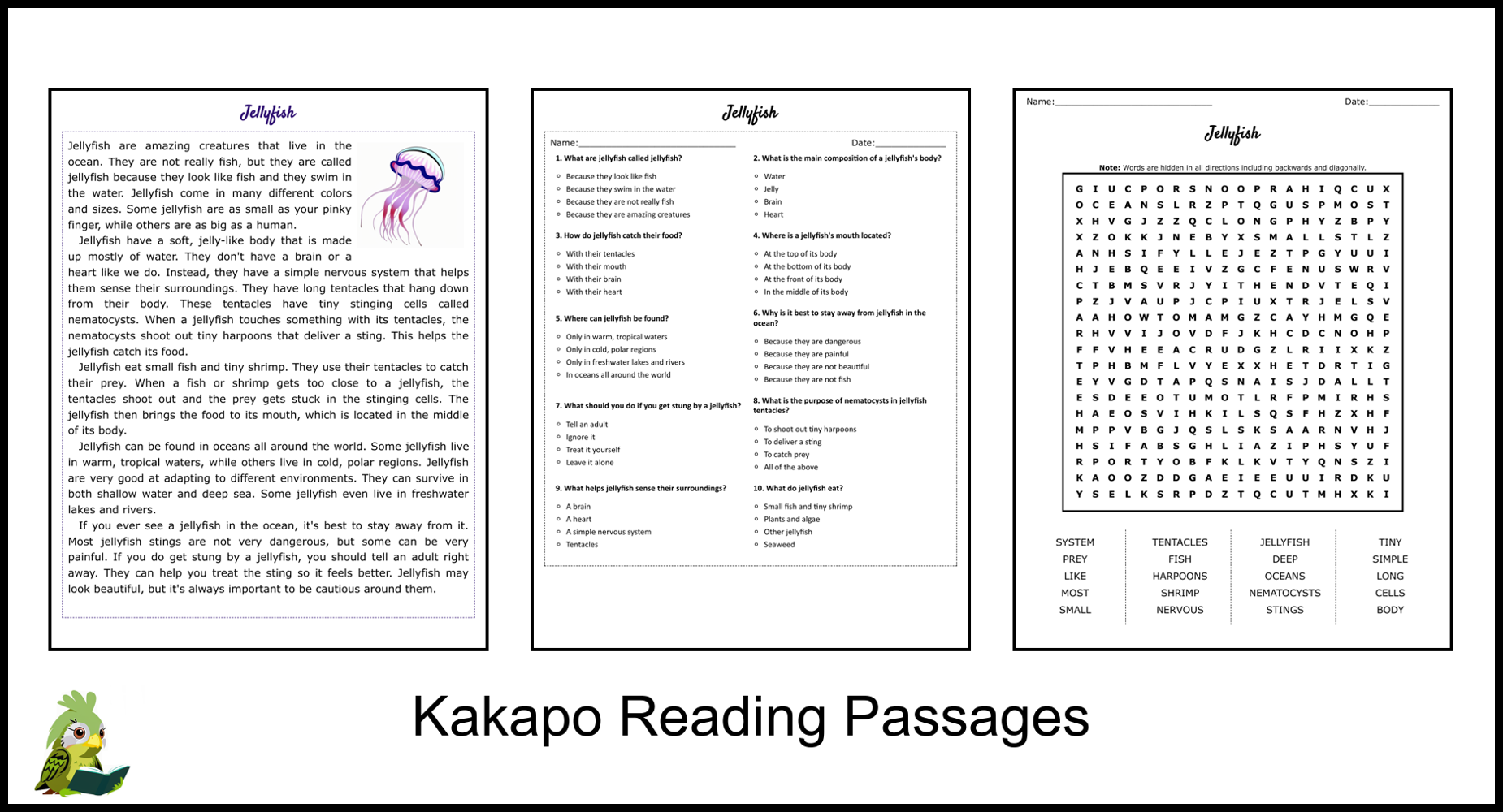 Jellyfish Reading Comprehension and Word Search | Teaching Resources