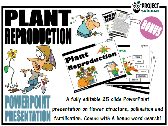 Plant Reproduction Powerpoint Presentation Teaching Resources