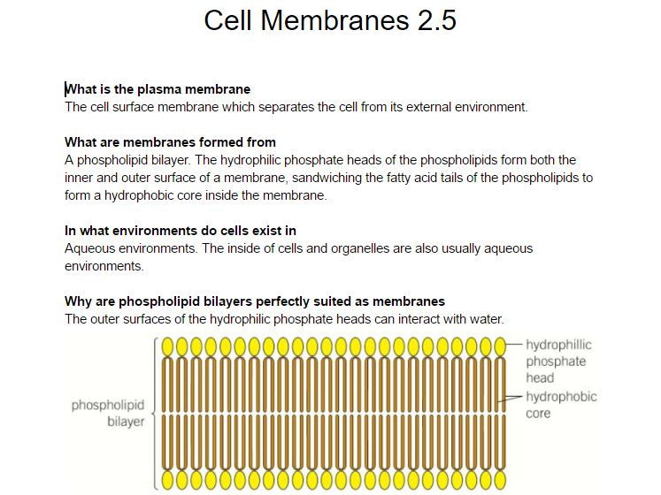 OCR A Biology Cell Membranes 2.1.5 Revision | Teaching Resources