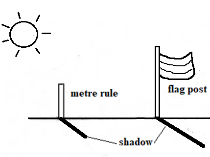 Primary Teaching Resources: Activities for KS1 and KS2 | Tes