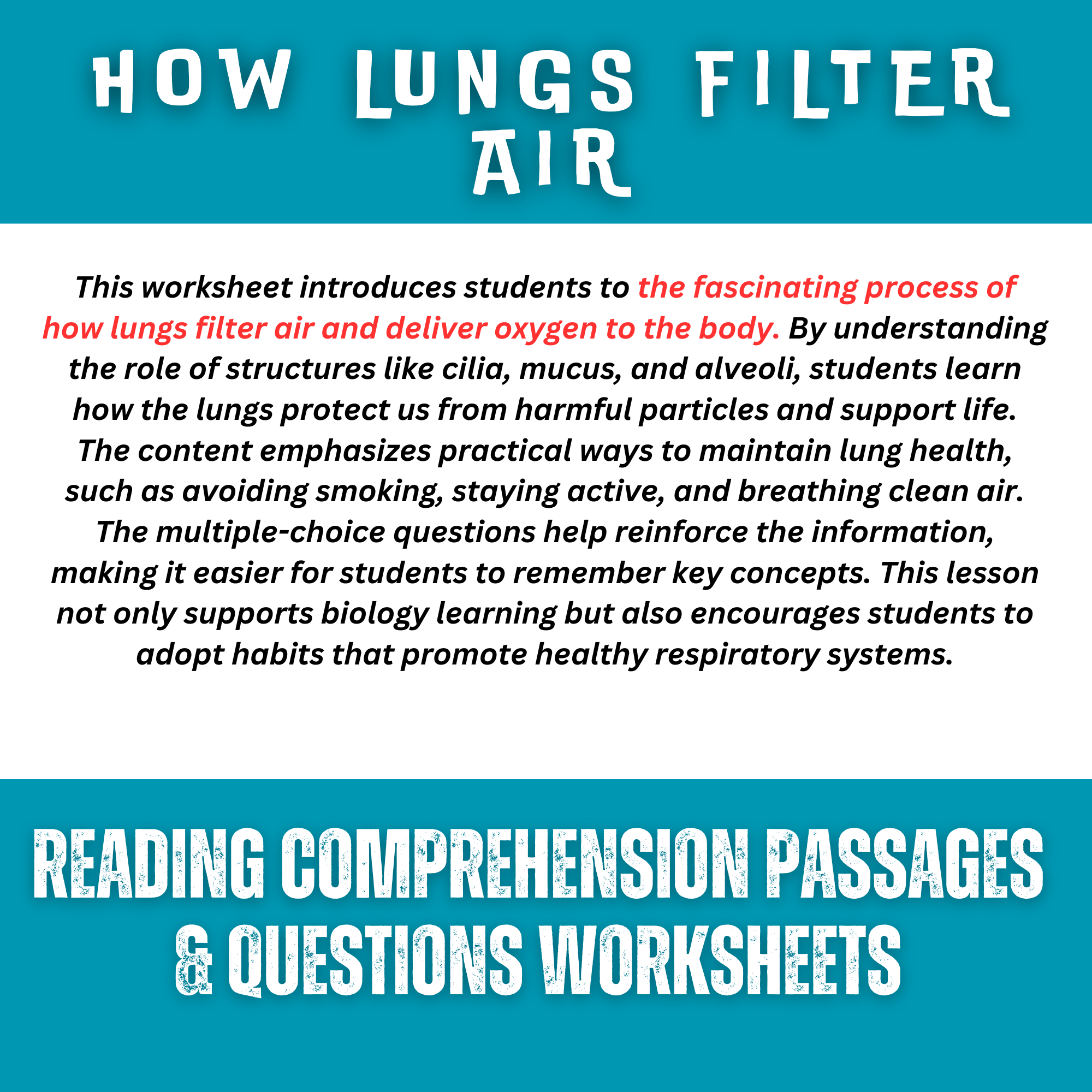 How Lungs Filter Air - Health Reading Worksheet | Teaching Resources