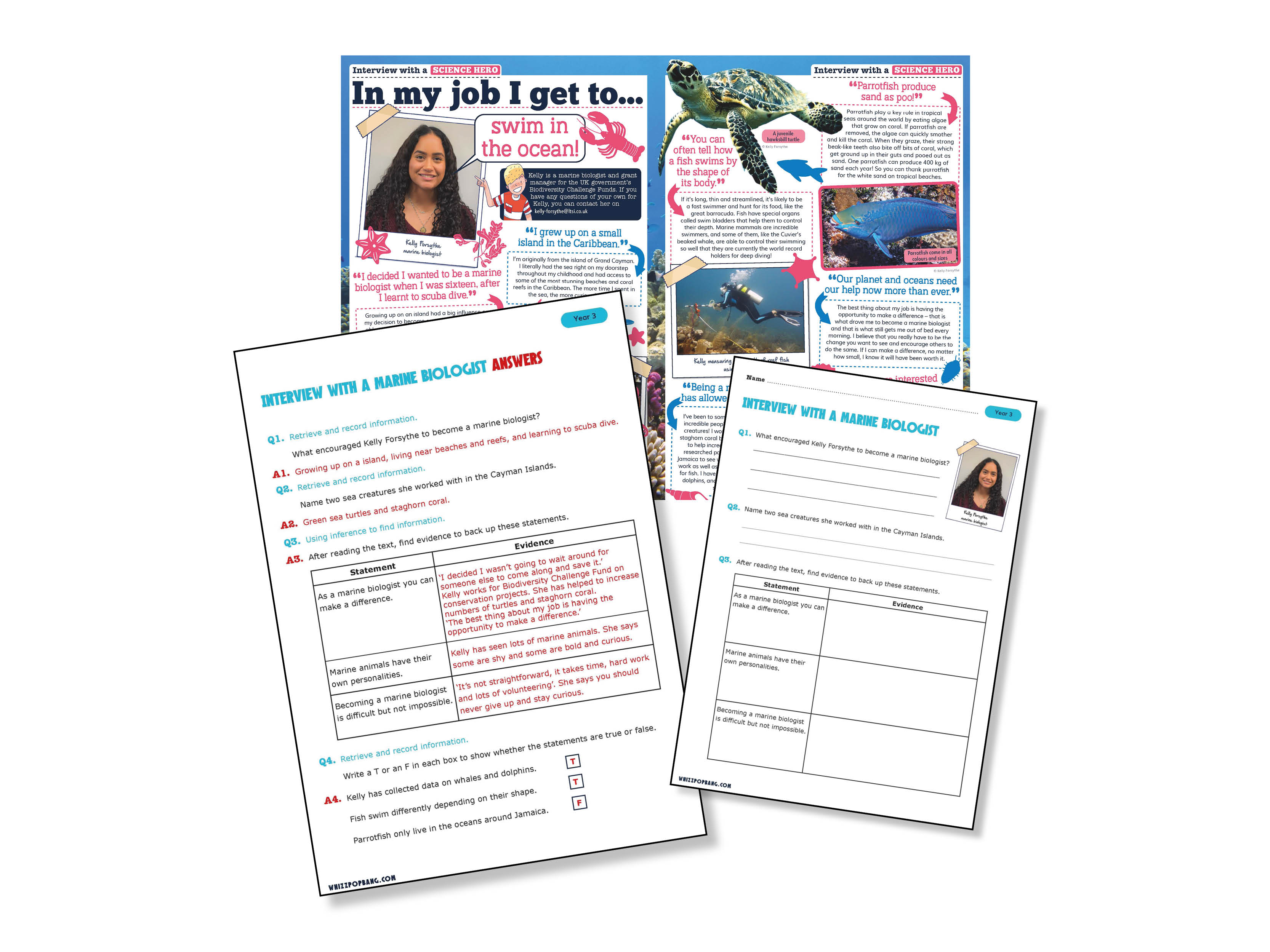 KS2 Reading Science Marine Biologist Teaching Resources KS2 Reading Science Marine Biologist Teaching Resources