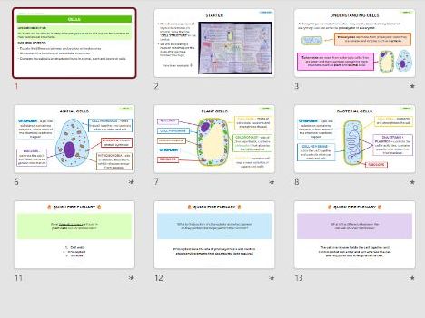 Cell Structure - Lesson | Teaching Resources