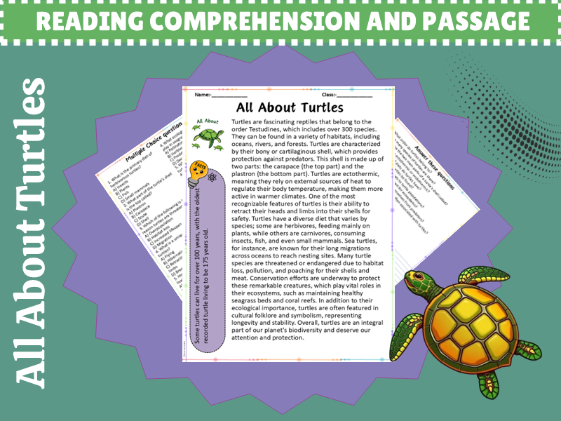 Turtle Exploration: Engaging Reading Passage with Questions | Teaching ...