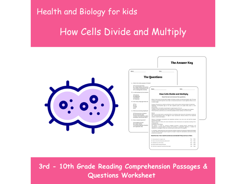 How Cells Divide and Multiply Reading Comprehension Passages ...