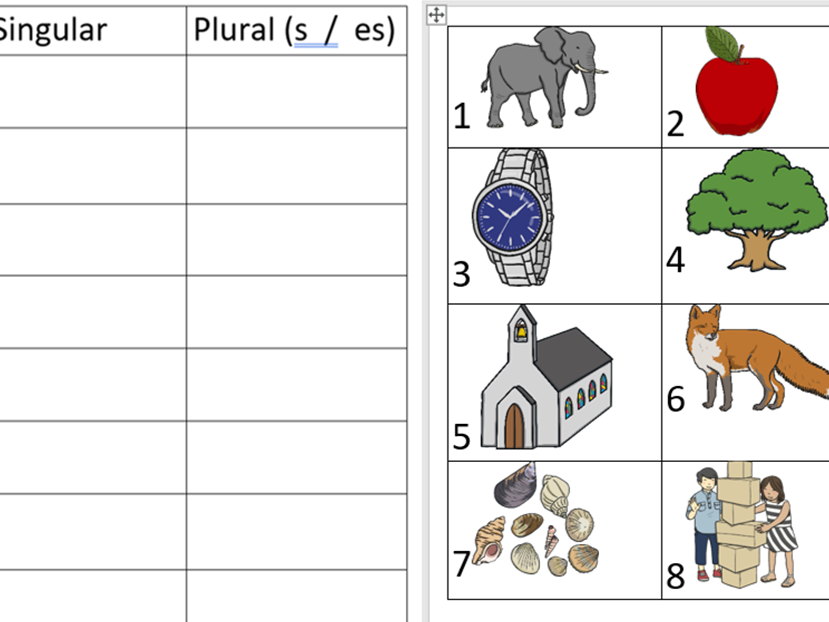 Treasure hunt - learn the plurals s and es | Teaching Resources