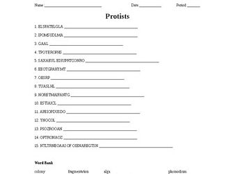 Protists Word Scramble for Biology II | Teaching Resources