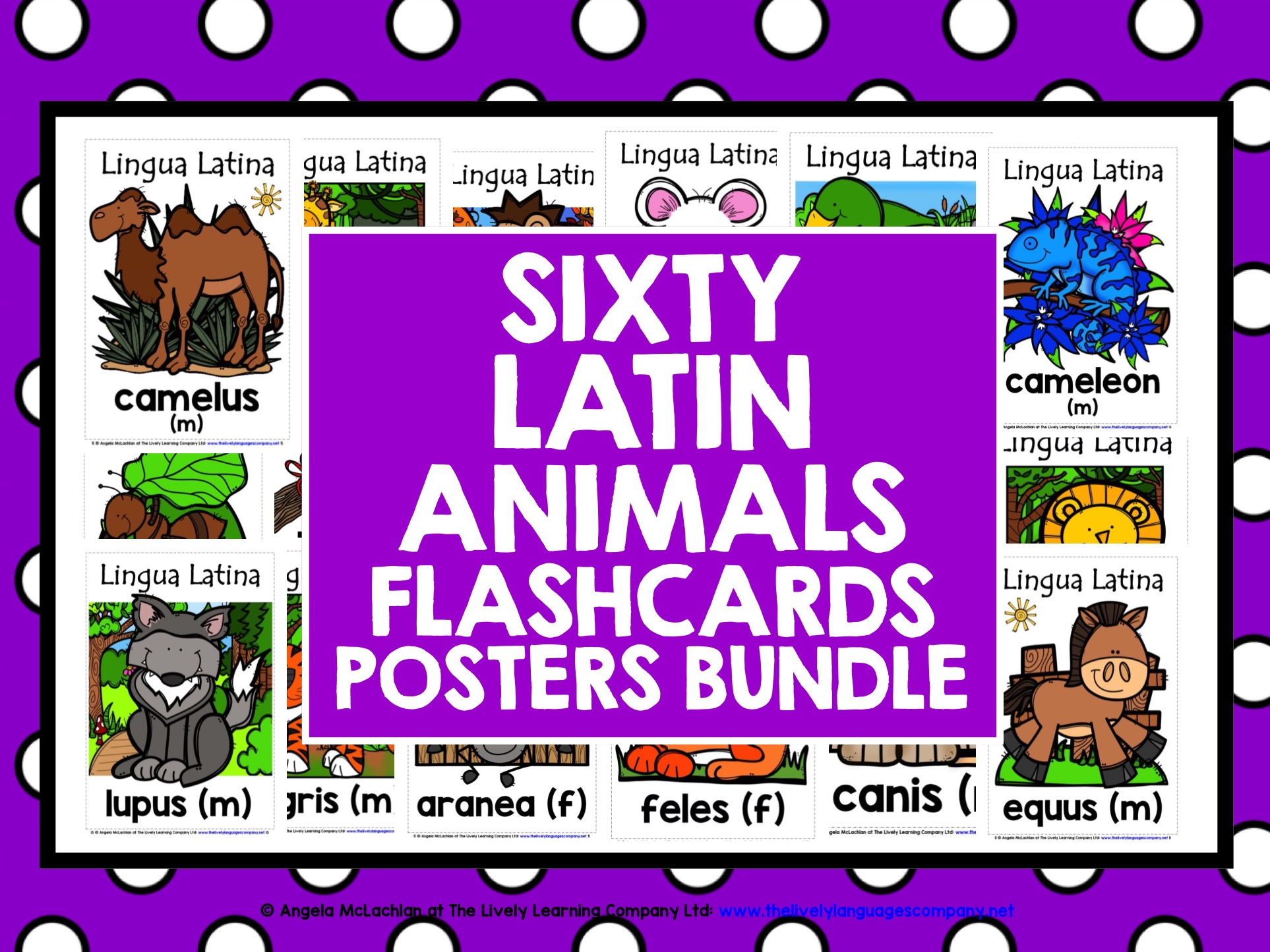 Secondary latin language and literature resources