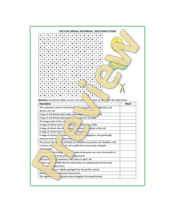 Cell Cycle, Mitosis, and Meiosis - Word Search Puzzle Worksheet ...