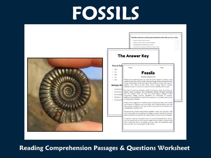 Fossils: Reading Comprehension Passages & Questions Worksheets ...