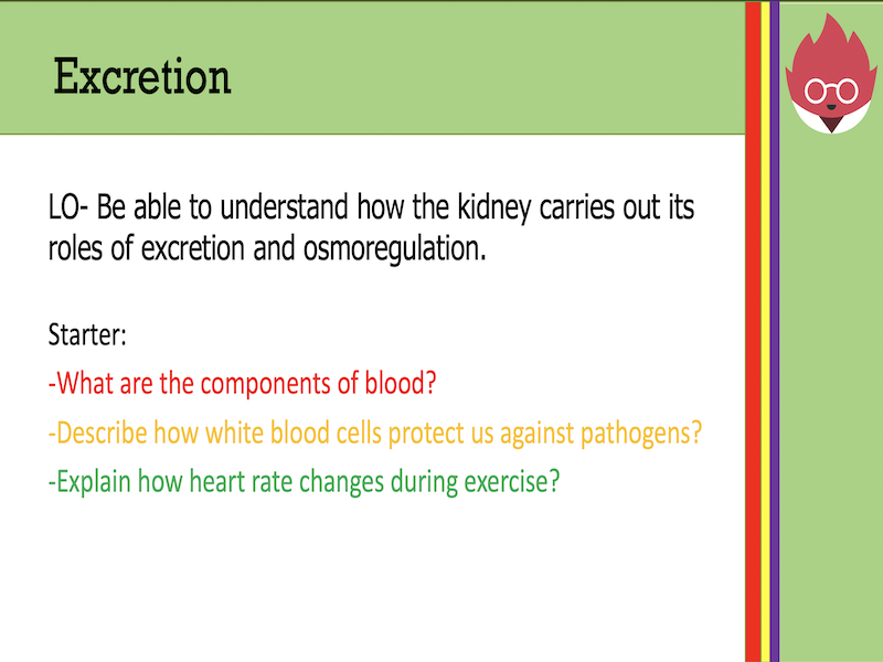 Igcse Biology 2i Excretion