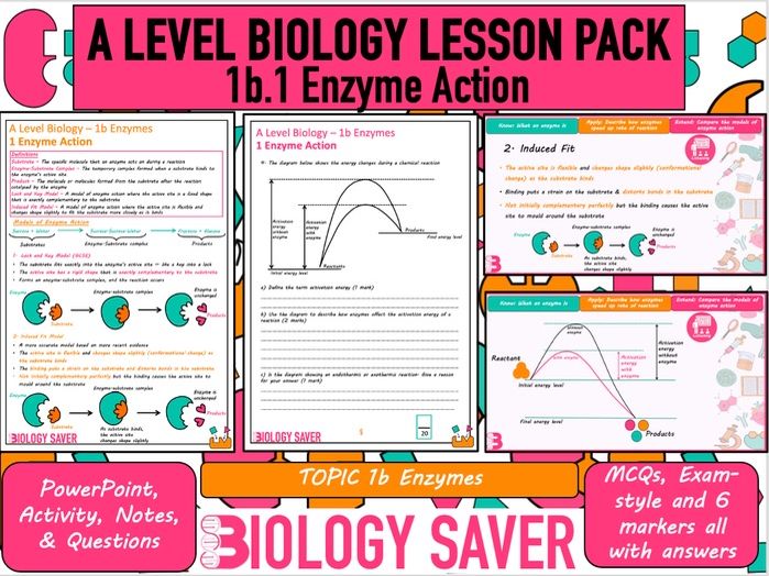 A Level Bio Lesson - 1b.1 Enzyme Action | Teaching Resources