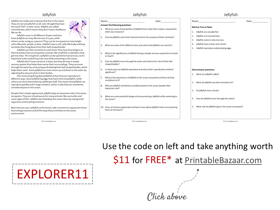 Jellyfish Reading Comprehension Passage Printable Worksheet | Teaching ...