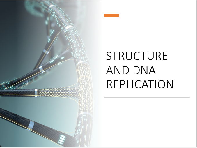Structure And Dna Replication Teaching Resources