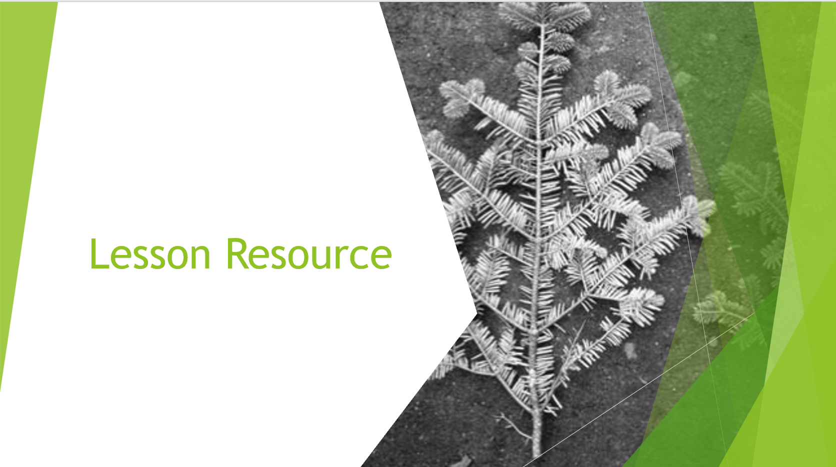 GCSE English Lit Comparison Unseen Poetry Interview Lesson (The Environment) | Teaching Resources