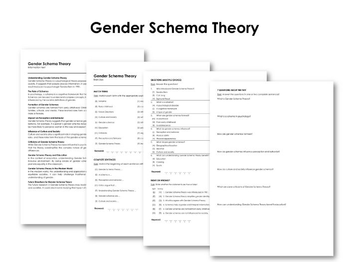 Gender Schema Theory Teaching Resources 