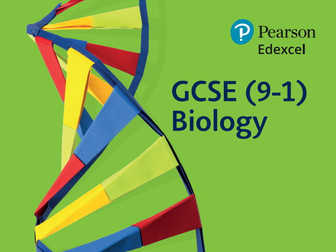 GCSE Edexcel Biology - Revision Textbooks bundle | Teaching Resources