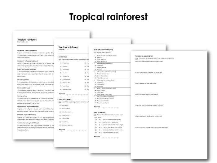 Tropical rainforest | Teaching Resources