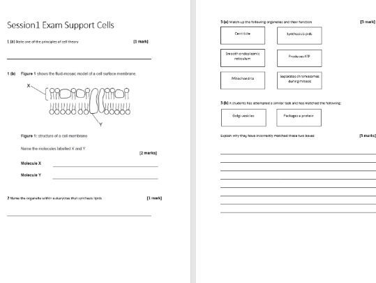 T-Level Health Paper B Questions Bank | Teaching Resources