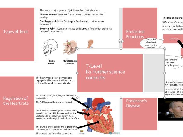 T-Level Health B2 Further Science Concepts (FROM 2023) | Teaching Resources
