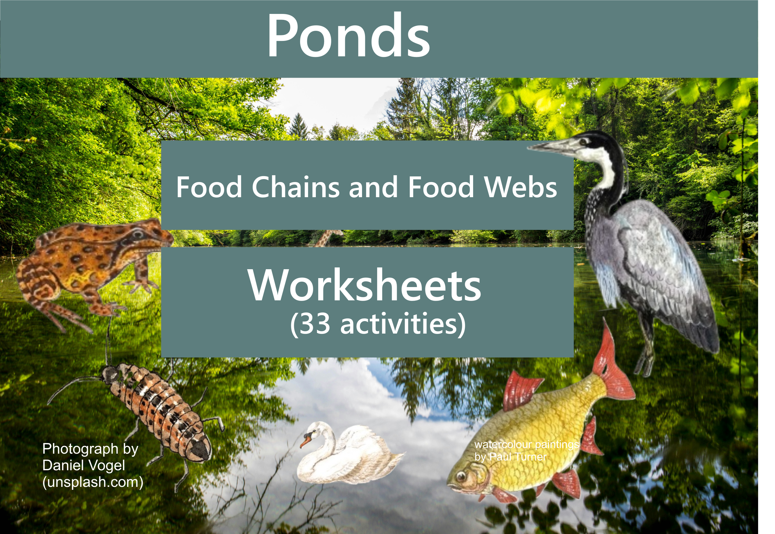 Food Chains and Food Webs - Ponds | Teaching Resources