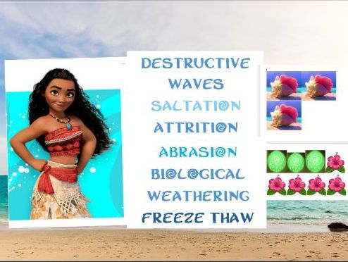 Coasts display - Moana theme - 24 key words | Teaching Resources