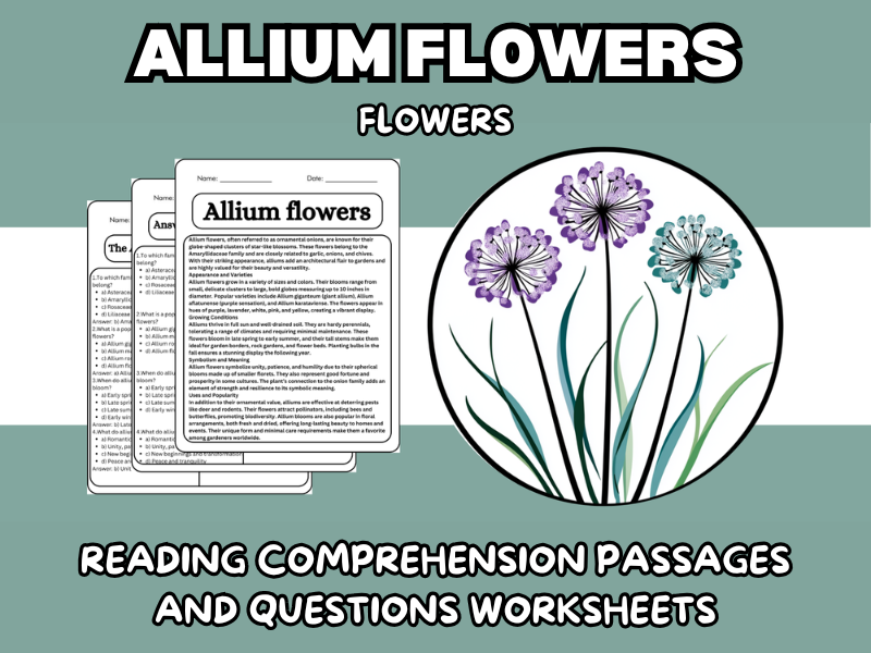 Allium Flowers - Flowers Reading Comprehension Passages & Questions ...