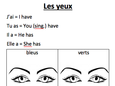 French physical descriptions | Teaching Resources