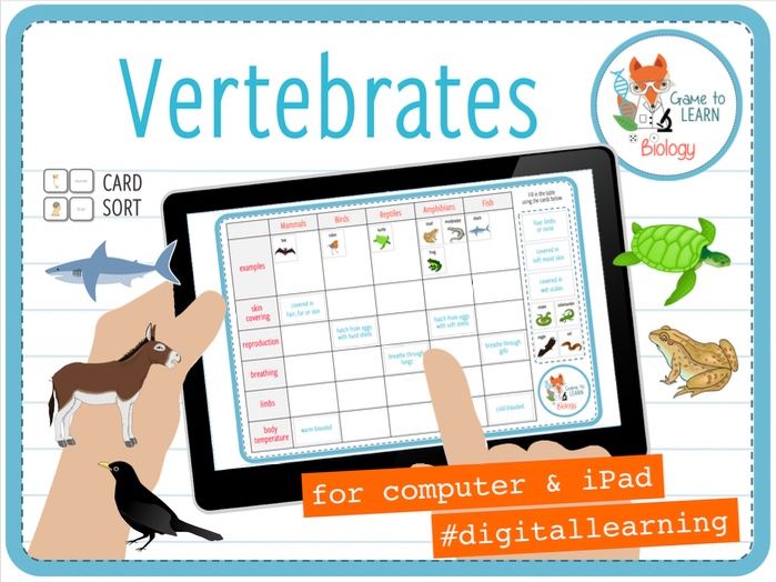 Vertebrates - Digital Card Sort (KS2/3) | Teaching Resources