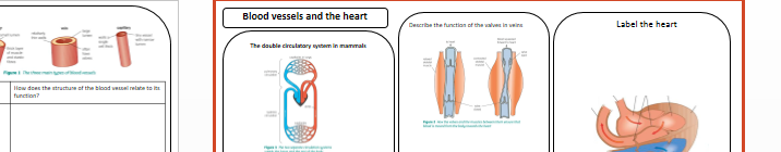 Heart, blood and blood vessels revision GCSE AQA 1-9 NEW SPEC B2 ...