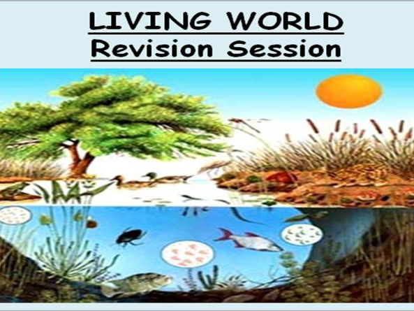 GCSE LIVING WORLD REVISION SESSION, HUGE LESSON & RESOURCES | Teaching ...