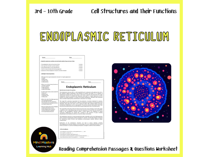 Endoplasmic Reticulum Reading Comprehension Passages & Questions ...
