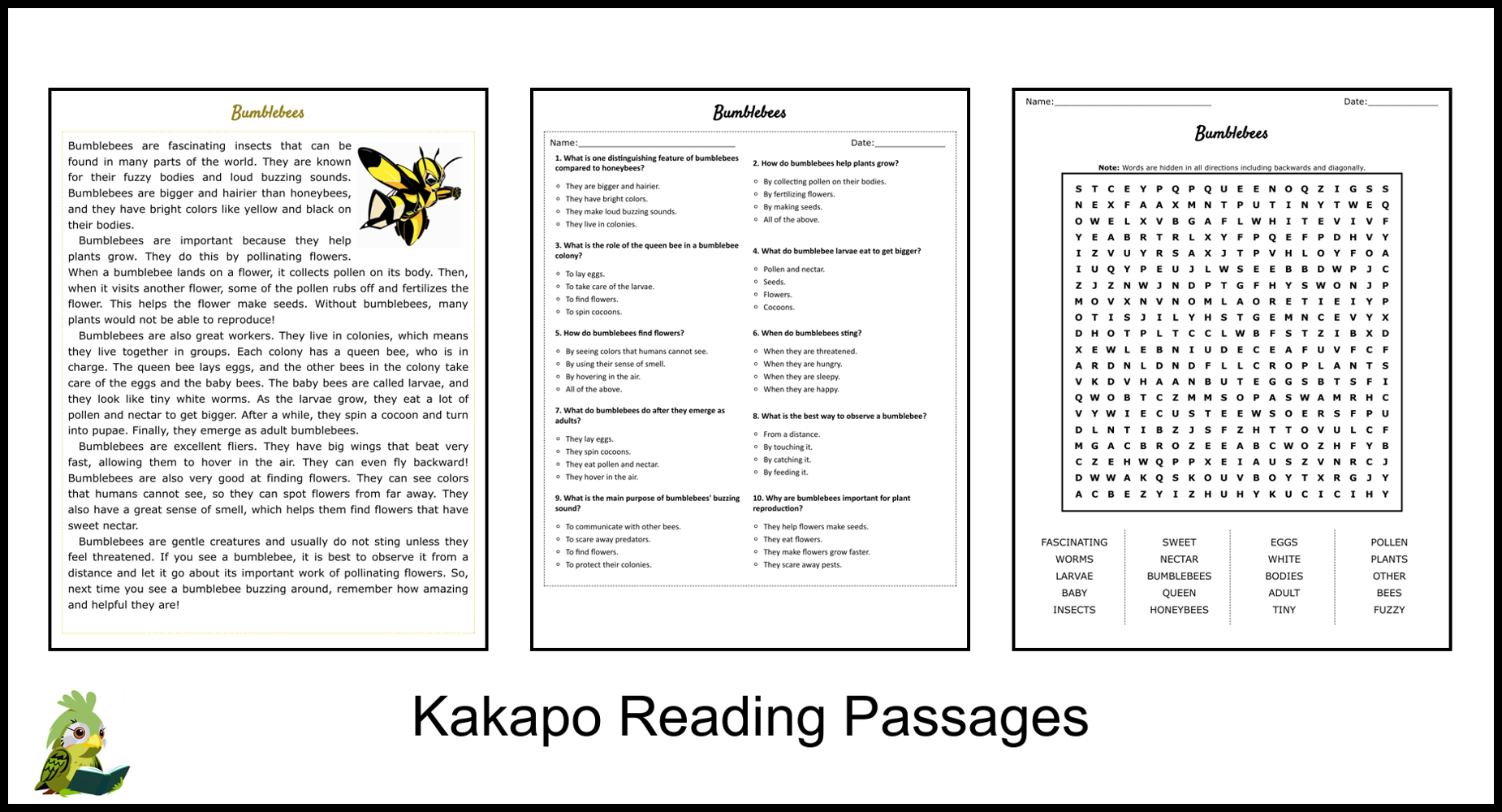 Bumblebees Reading Comprehension and Word Search | Teaching Resources
