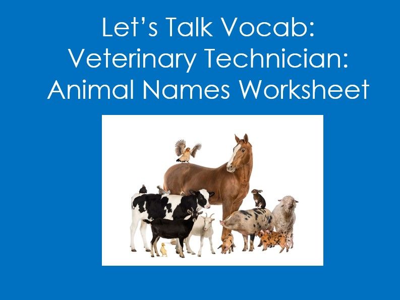 Let's Talk Vocab...Veterinary Technician: Animal Names (Animal Science ...