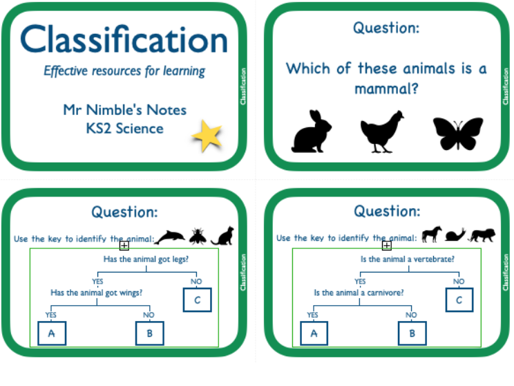 Year 4 Quiz Cards Classification Teaching Resources - Bank2home.com