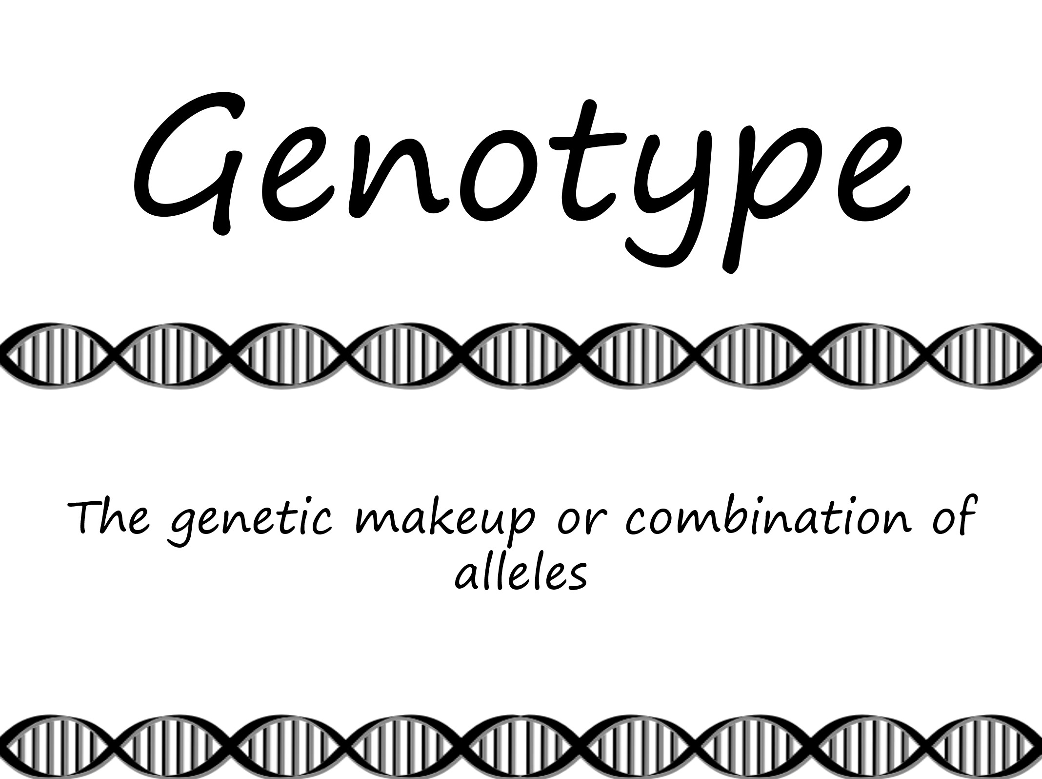 Genetics Word Wall Vocabulary Cards | Teaching Resources