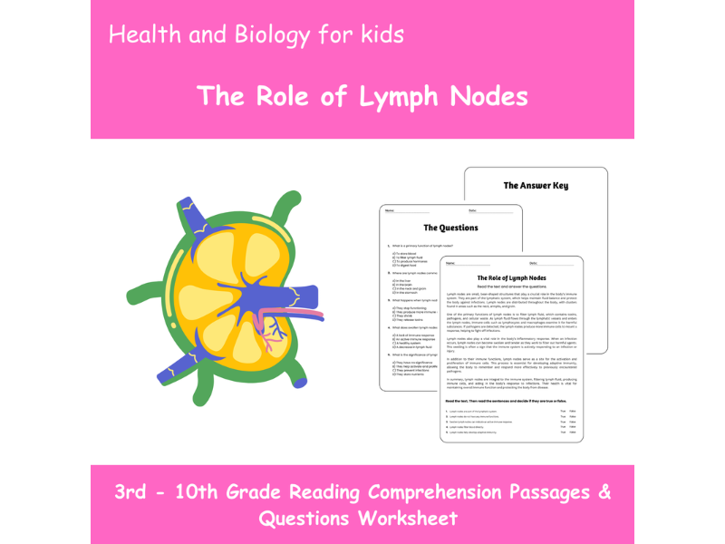 The Role of Lymph Nodes Reading Comprehension Passages & Questions ...