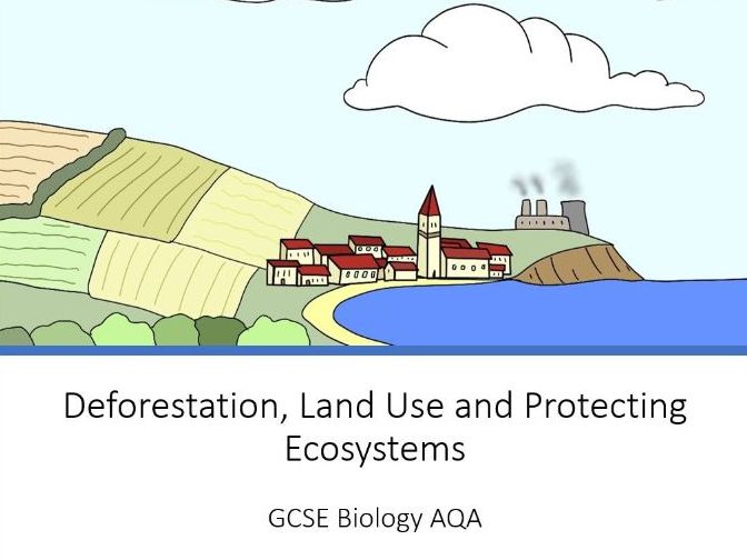 Ecology (GCSE Biology AQA Topics 7) | Teaching Resources