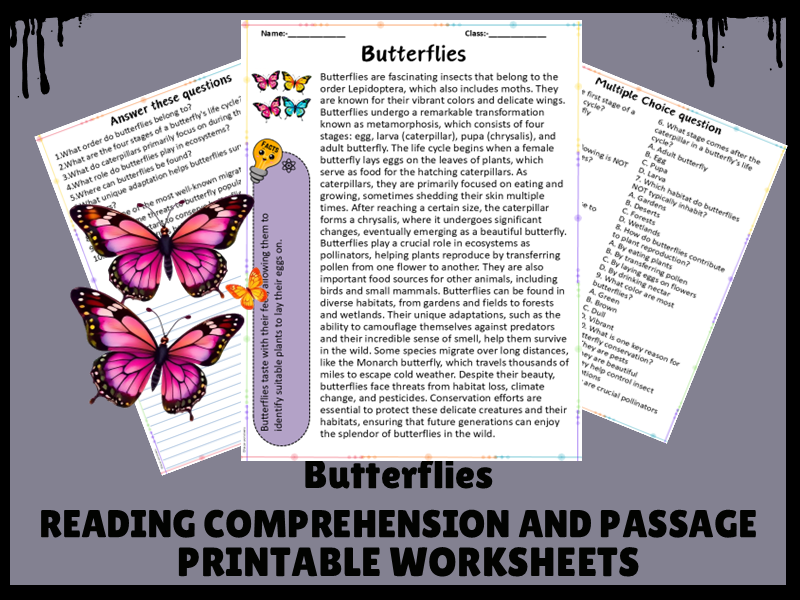 Exploring Butterflies: Engaging Reading Passage and Quiz Questions ...