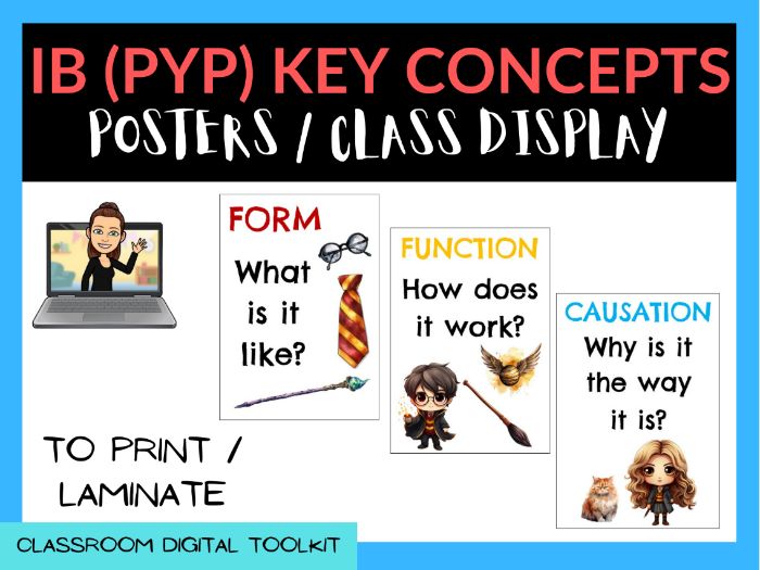 IB PYP KEY CONCEPTS POSTERS (Classroom DISPLAY) WIZARD THEMED ...