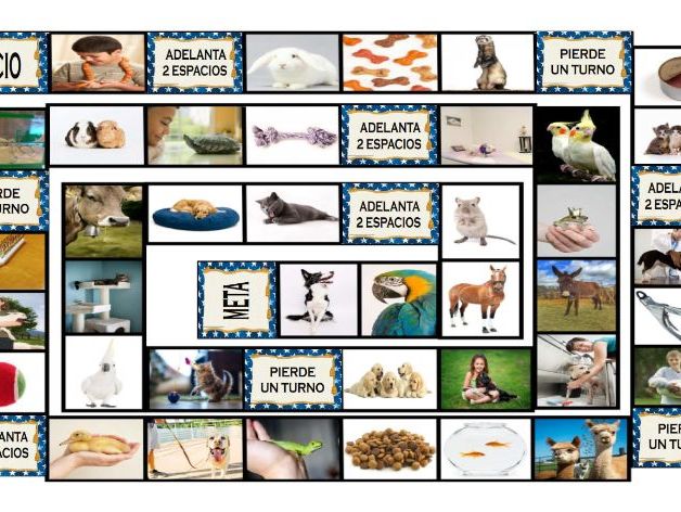 Pets and Pet Care 6 Spanish Photo Game Bundle | Teaching Resources