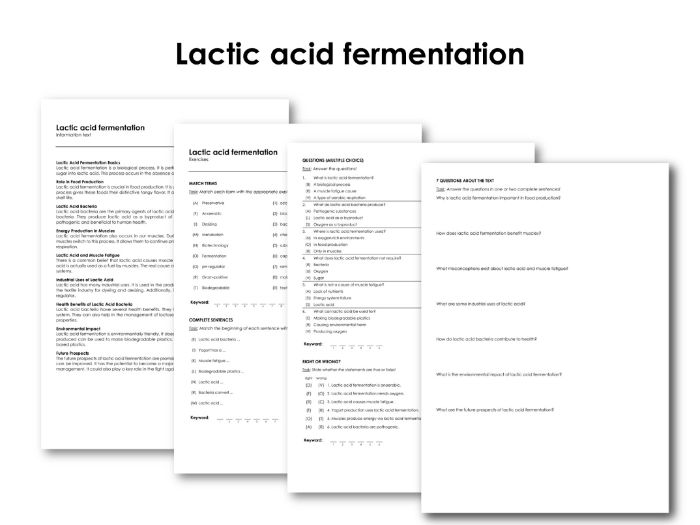 Lactic acid fermentation (Infotext and Exercises) | Teaching Resources