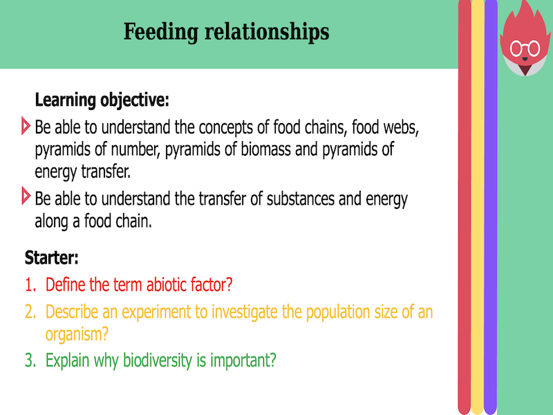 IGCSE Edexcel Biology (9-1) Feeding relationships | Teaching Resources