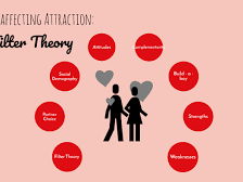 relationships aqa psychology filter theory | Teaching Resources