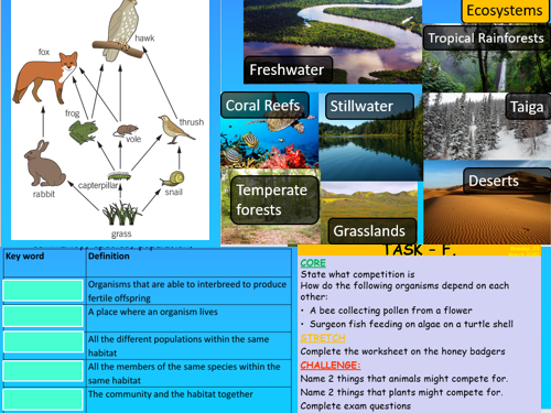 AQA GCSE Ecosystems and Competition Higher and Foundation B7 | Teaching ...