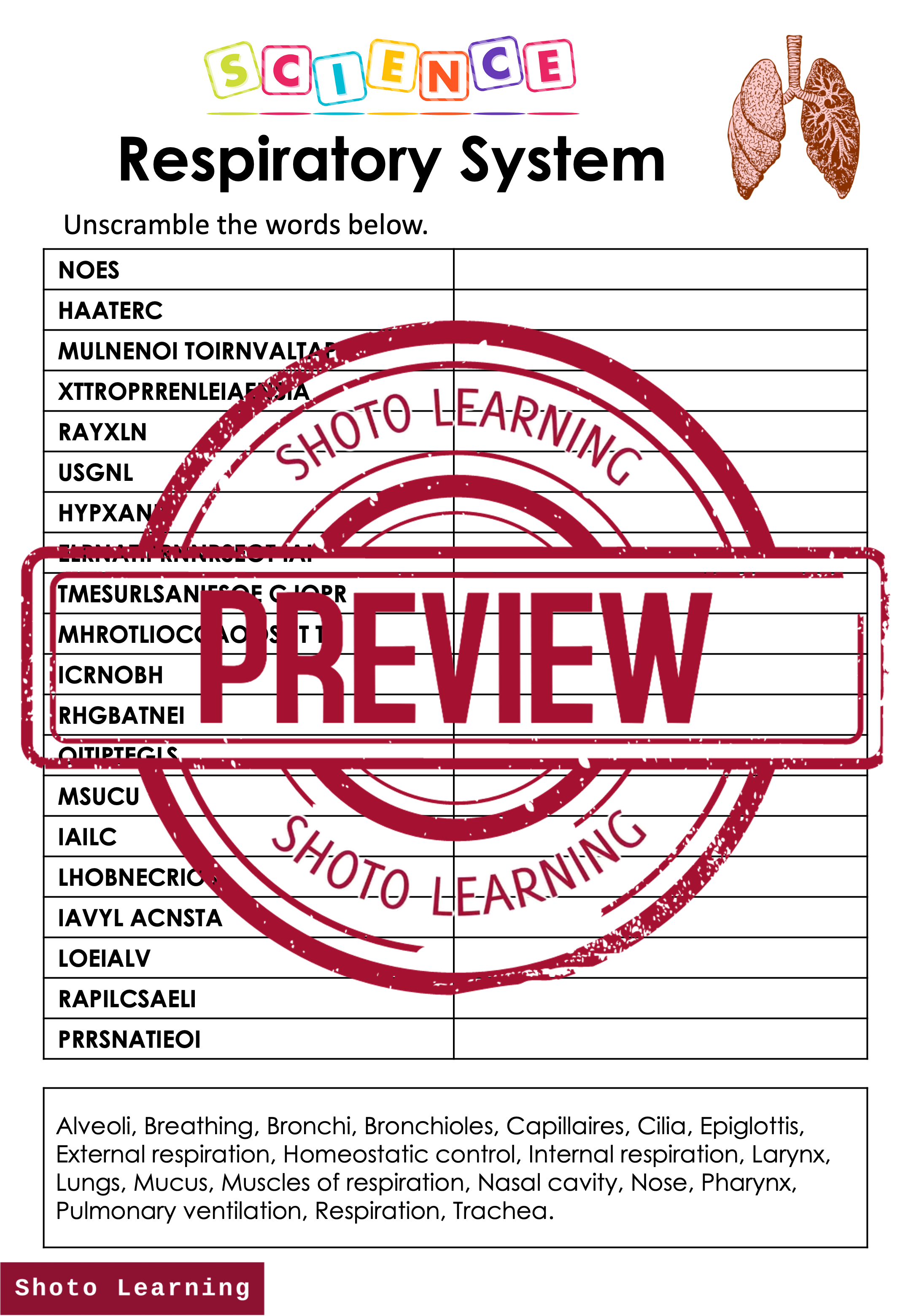 Respiratory Word Scramble at Mark Ferretti blog