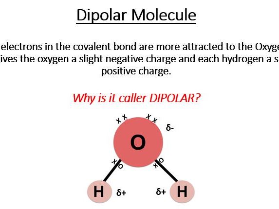 A-Level AQA Biology - Water Lesson 1 | Teaching Resources