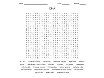 DNA Word Search for a Forensics Course | Teaching Resources
