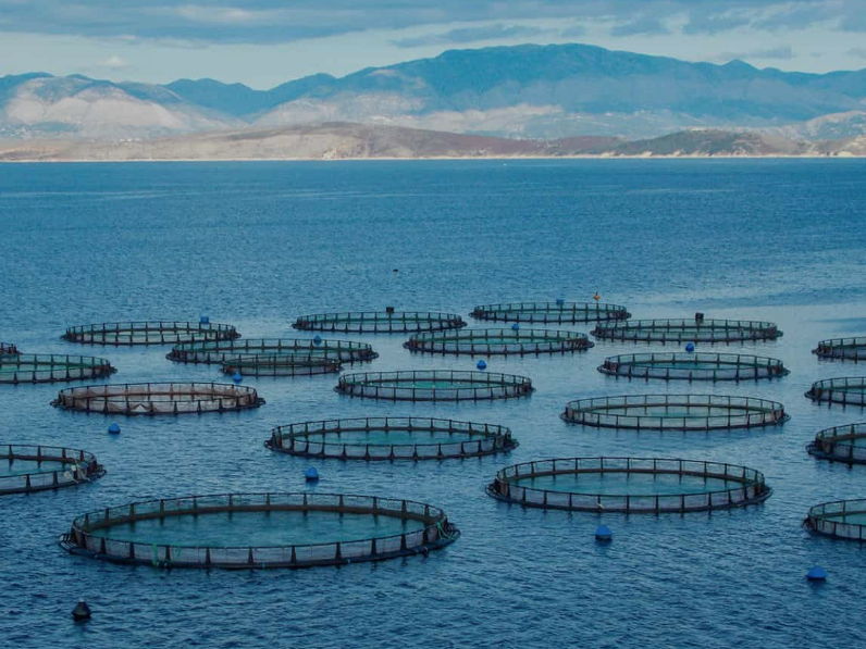 ESS Unit 4 Water, aquatic food production systems, and societies bundle ...