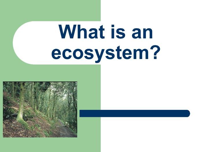 Introduction to Ecosystems Lesson | Teaching Resources